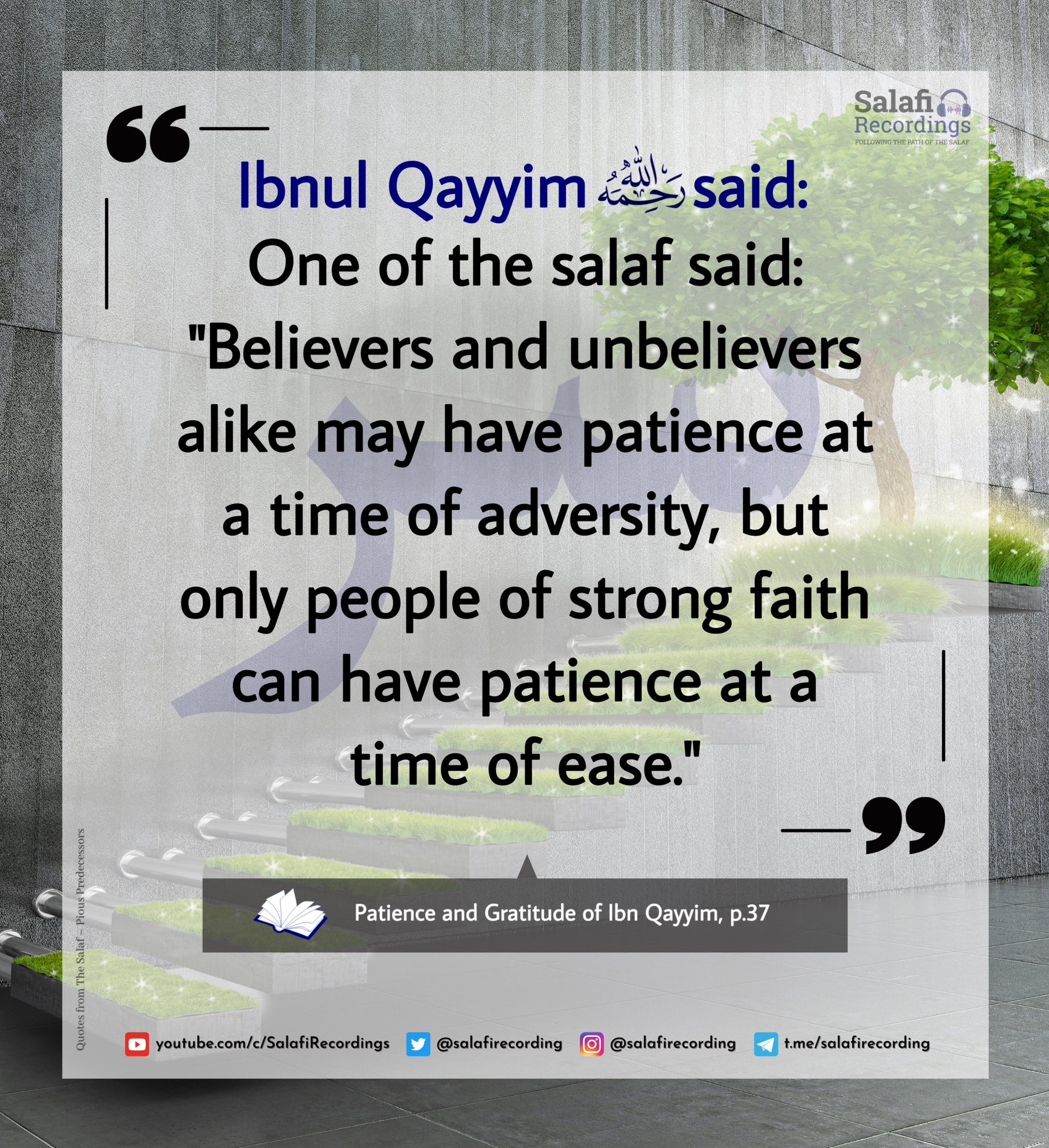 Salafi Quotes