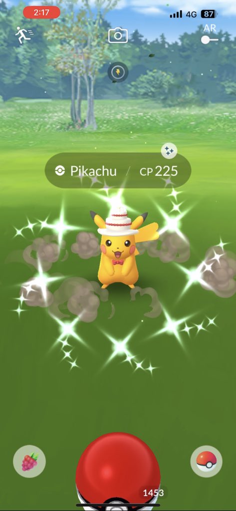 Shiny Pikachu And Normal Pikachu