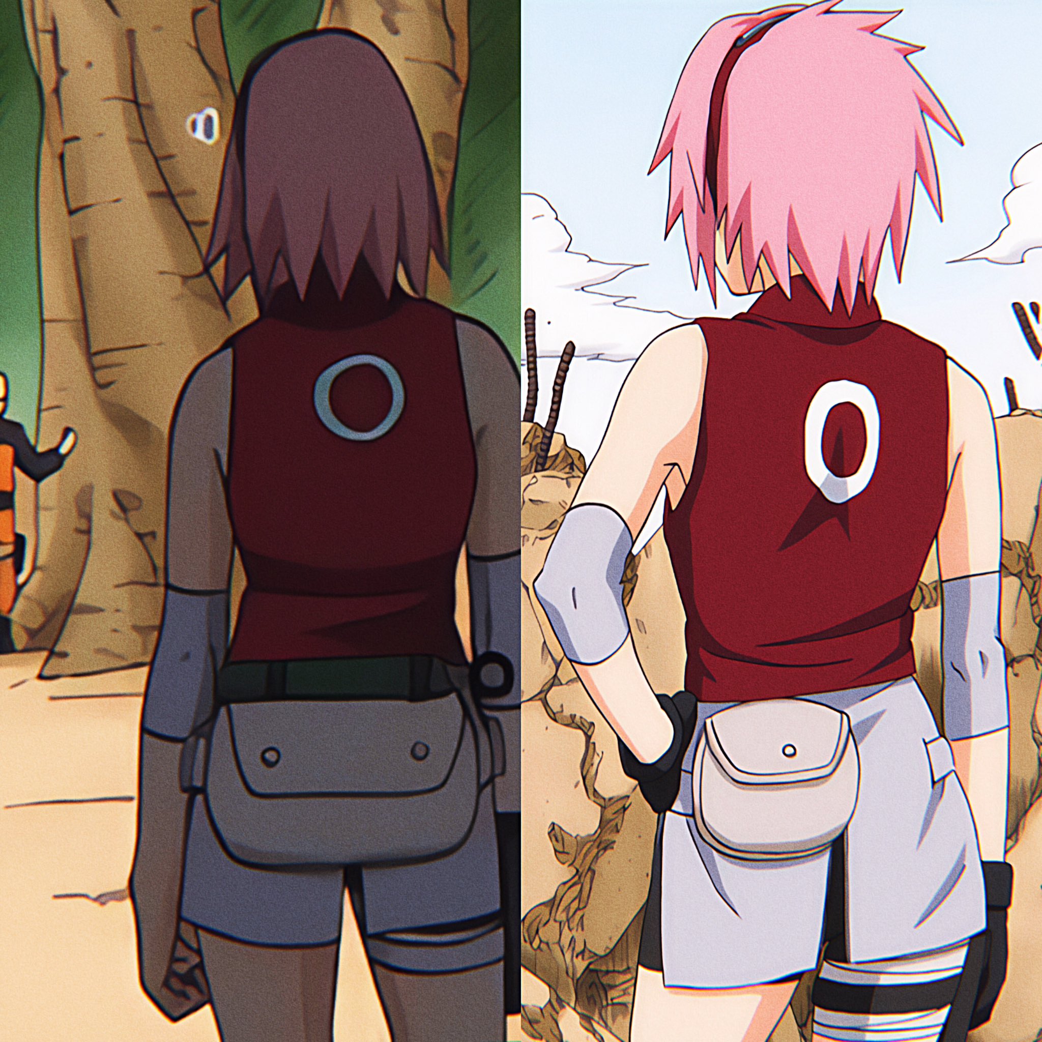Sakura Dies
