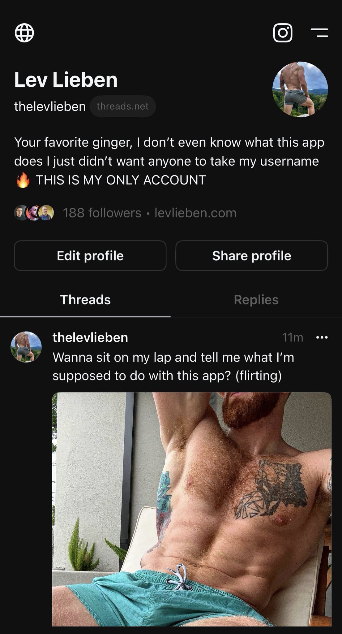 Lev Lieben on Twitter: "I just started a Threads wanna help me figure out what to even do with ...