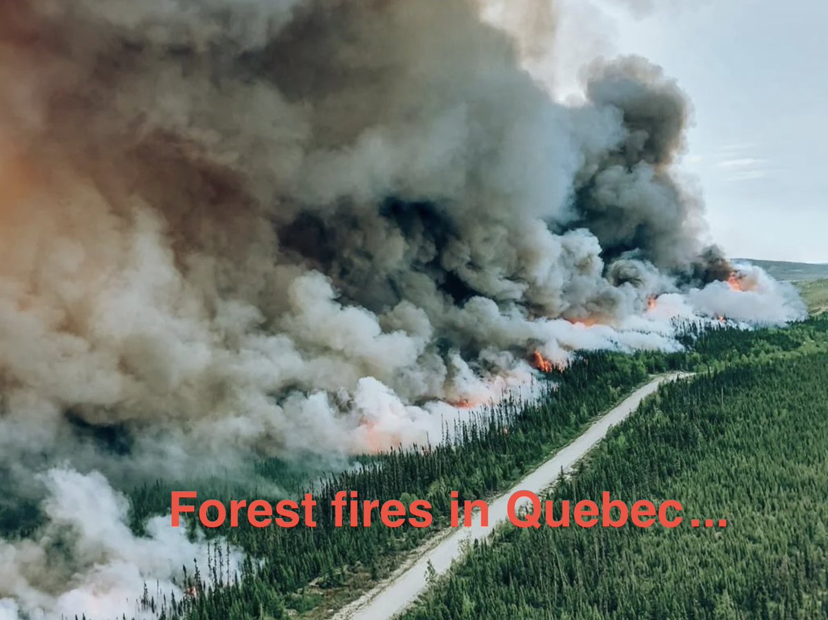 Thread by @MattLoszak on Thread Reader App – Thread Reader App