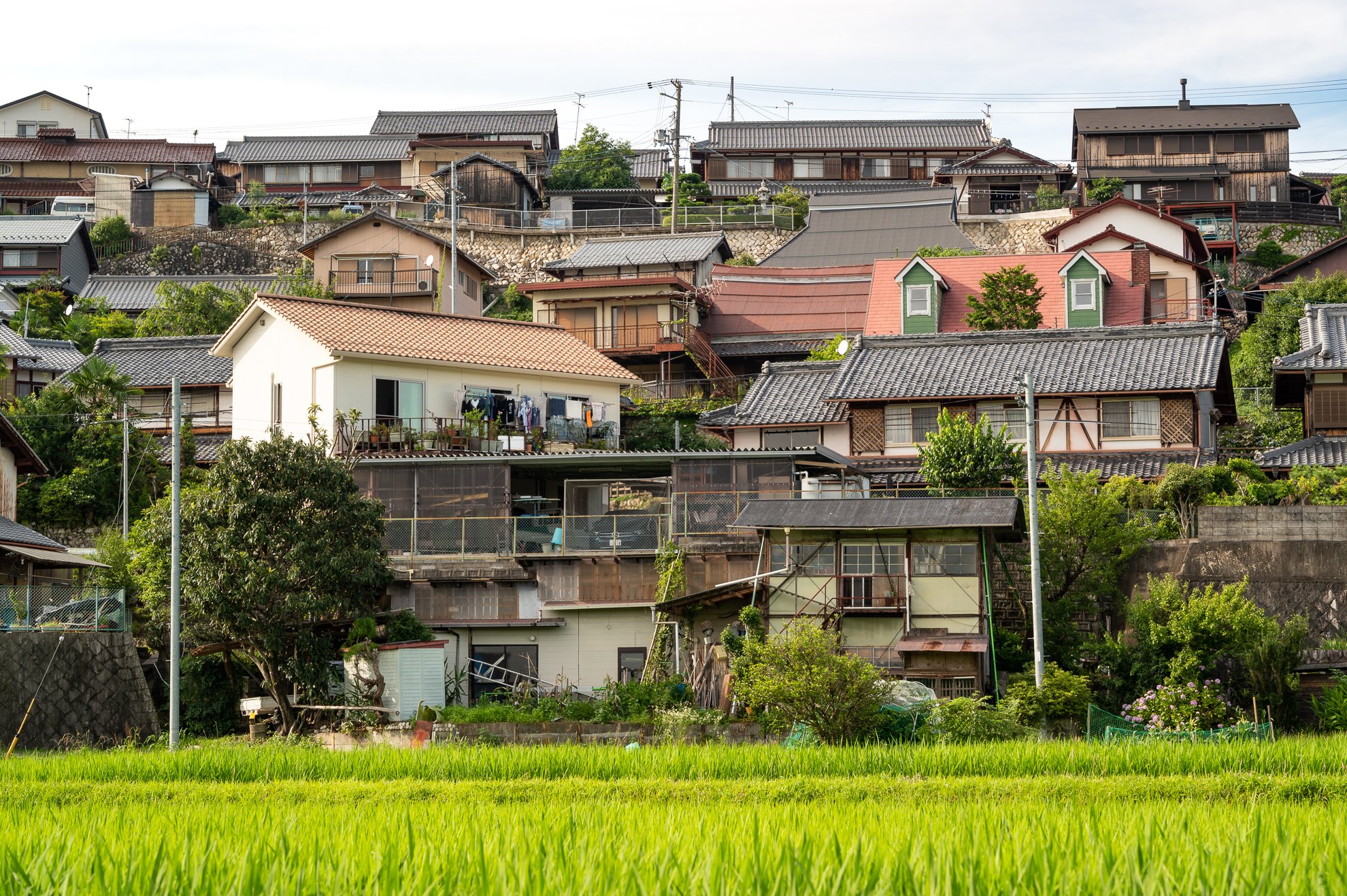 dokubutu on Twitter: "高低差と密度 が好きすぎて 困る。 https://t.co/sSVPFeZDSo" / Twitter