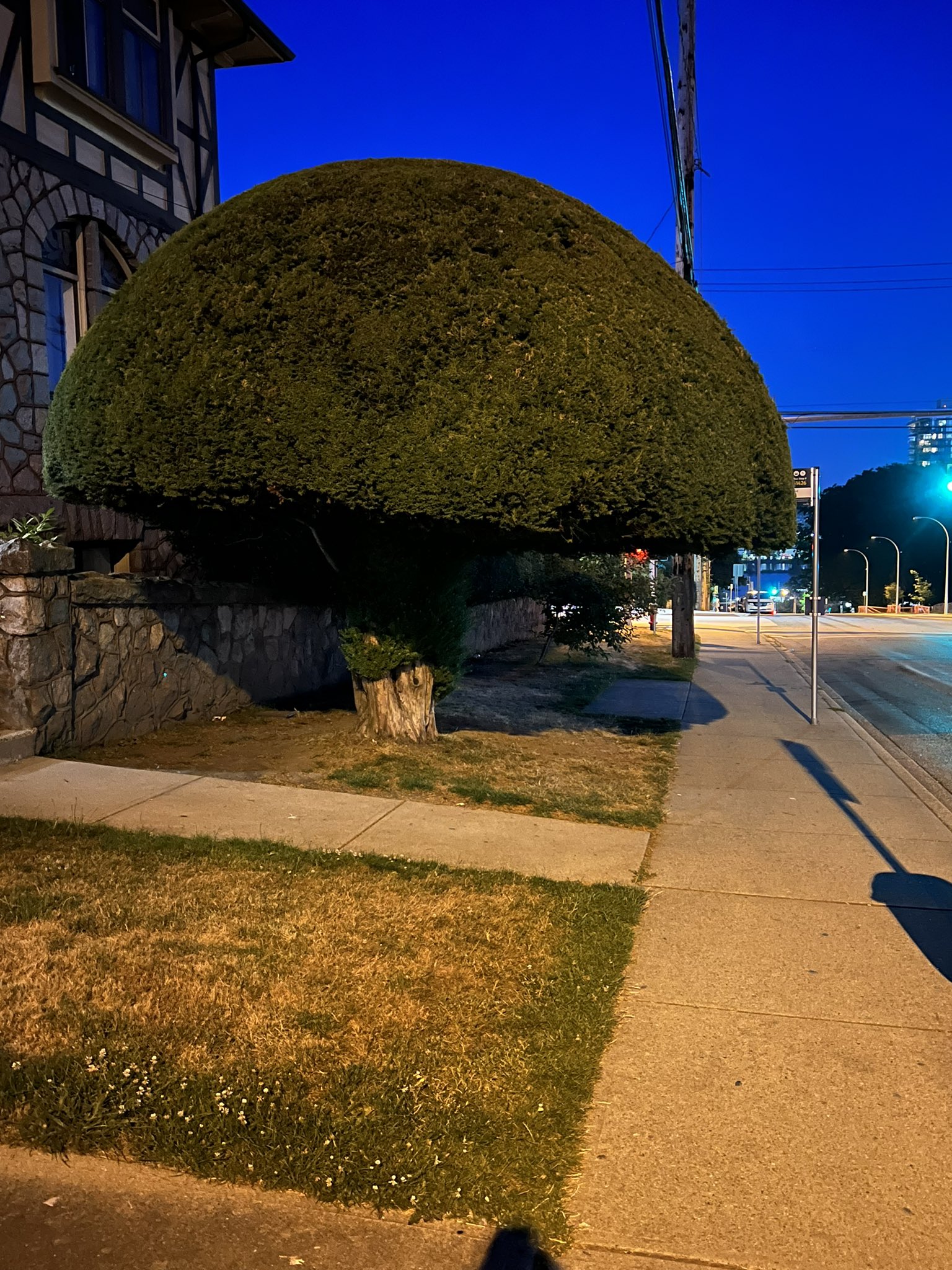 Alcris#TV (@ATgaming1020) / Twitter