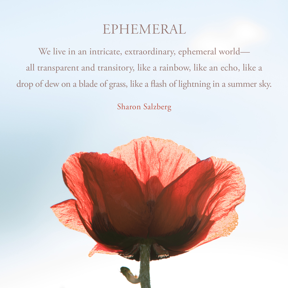 Lightning Flowers On Grass