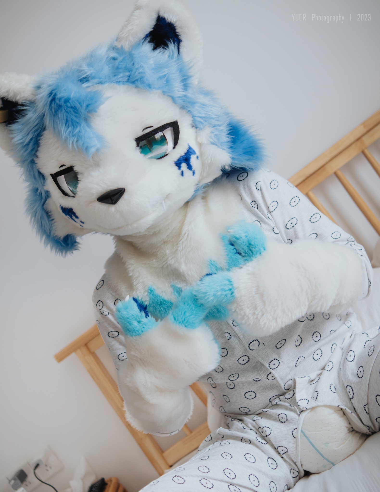 pork酱 on Twitter: "呜呜呜，我好像又犯错了！ 📷：@waitzz_ #FursuitFriday https://t.co ...