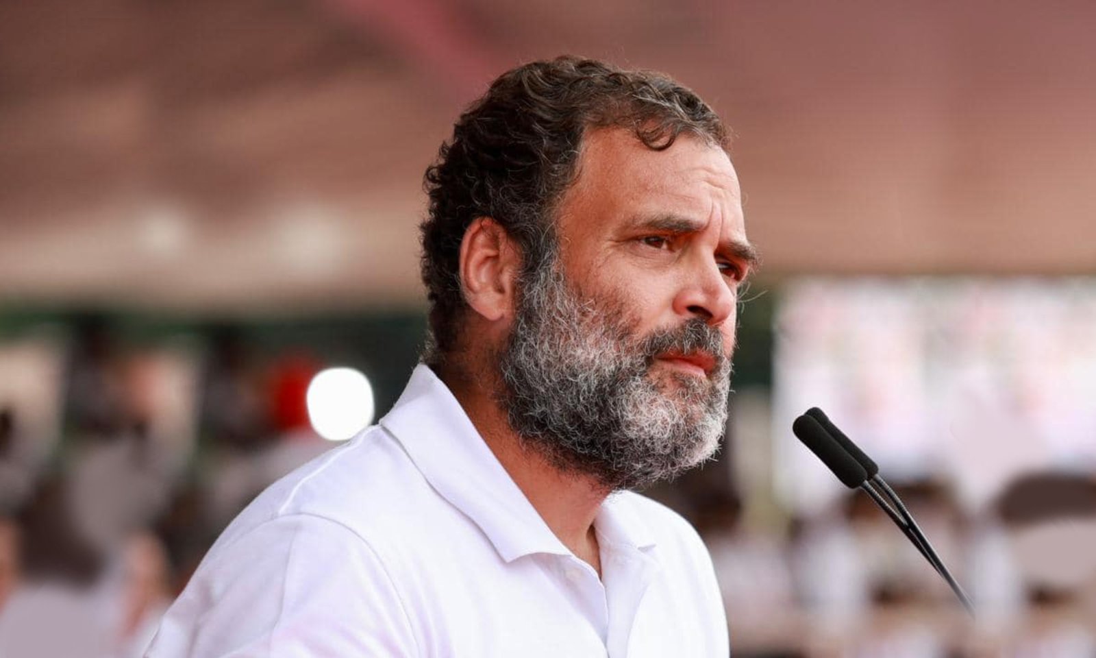 Live Law on Twitter: "#BREAKING Gujarat High Court to pronounce order tomorrow in Rahul Gandhi's ...