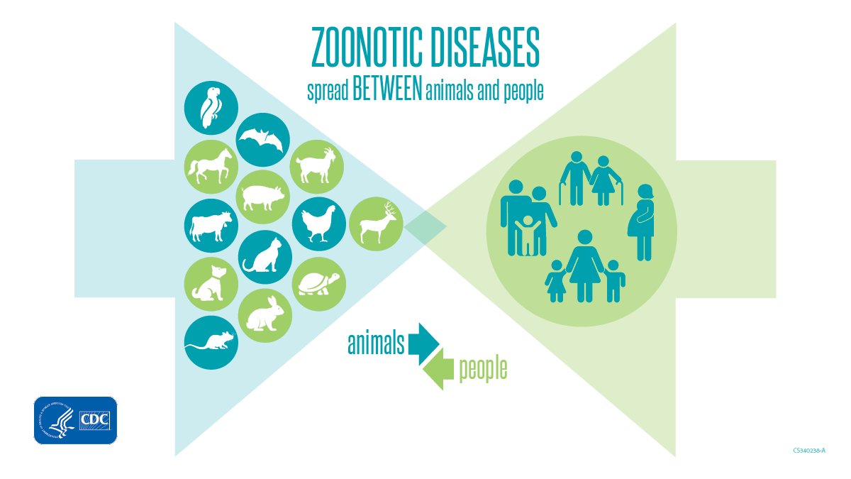 CDC on Twitter: "Zoonoses have always been around. But as our ...