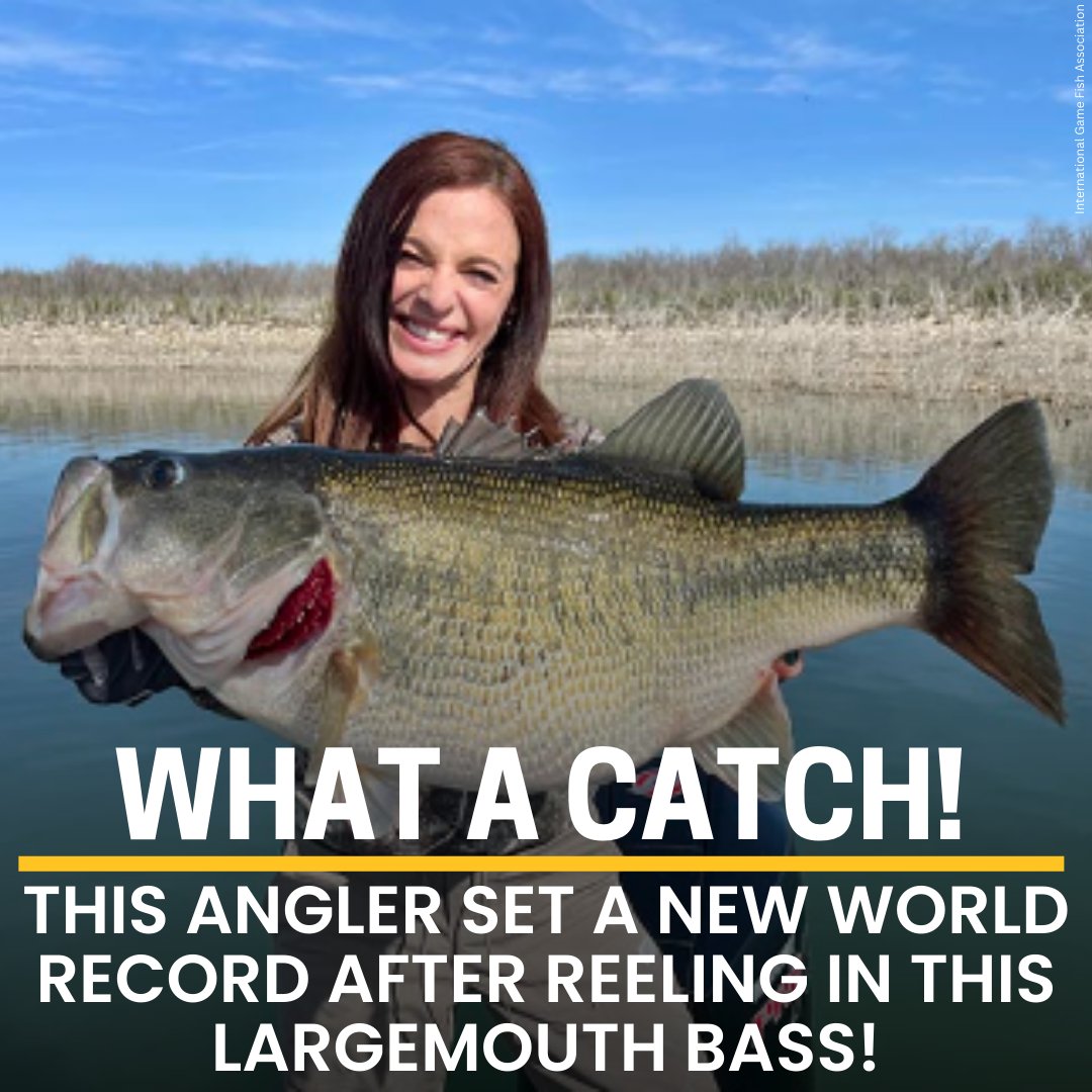 Reeling In A Bass