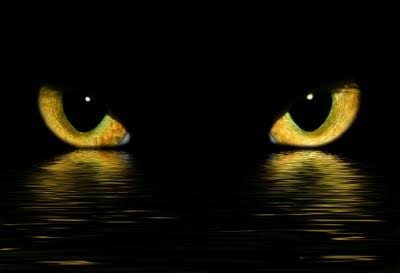 Kukhona lento ekhona esintwini le yokuthi uma umuNtu isidumbhu sakhe ...