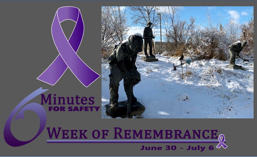 Wildland Firefighter Ribbon