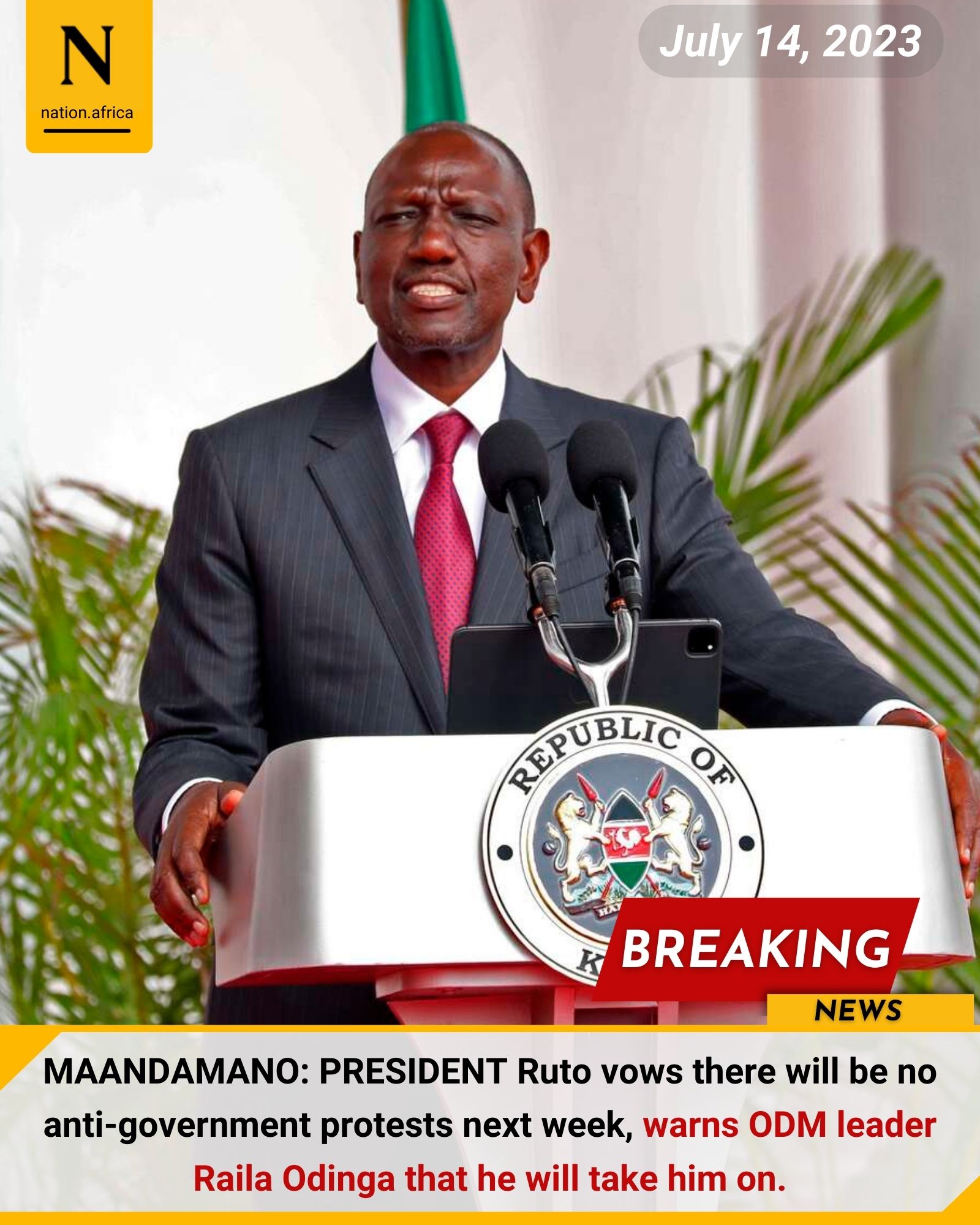 Peter Kariuki on Twitter: "Ruto should suspend the constitution for 6 months and deal with Raila ...