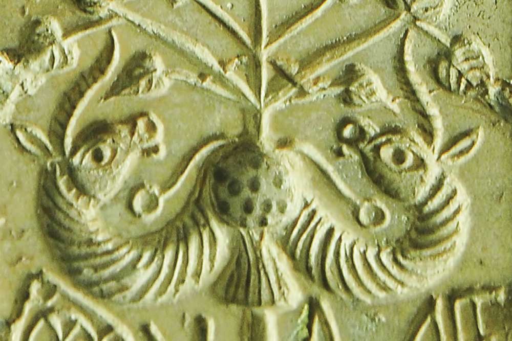 What is the significance of Peepal tree in Hinduism? #SanatanaDharma # ...