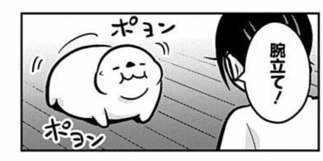 OL、ラッコを飼う。】 2巻収録「ダイエット」より 腕立て 腹筋 シャドーボクシング 続けることが大事 こ」井上知之 【ラッコ】4巻は12月27日発売の漫画