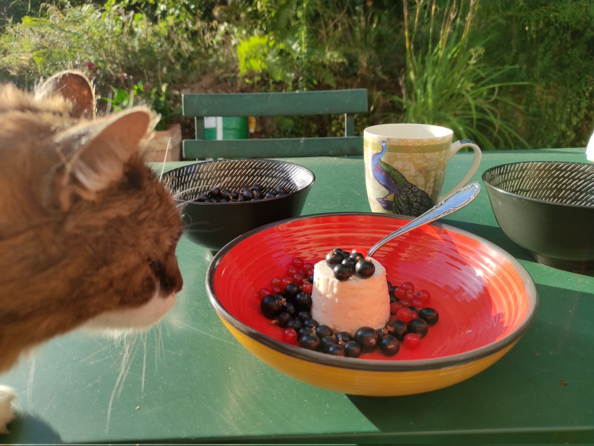 Helena Hetaira - Independent Escort on Twitter: "~ die Sonne vom Bett aus aufgehen sehen, mit ...