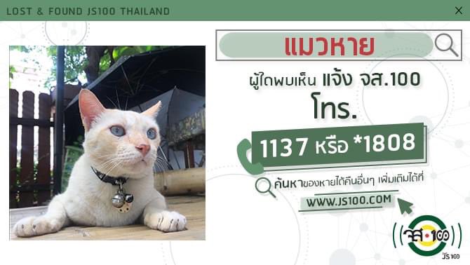 JS100Radio on Twitter: "แมวหายจากหมู่บ้านตะวันฉาย บางบอน5 เขตหนองแขม ผู้ใดพบเห็นแจ้ง JS100 โทร ...