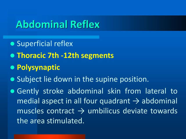 Superficial Abdominal Reflex