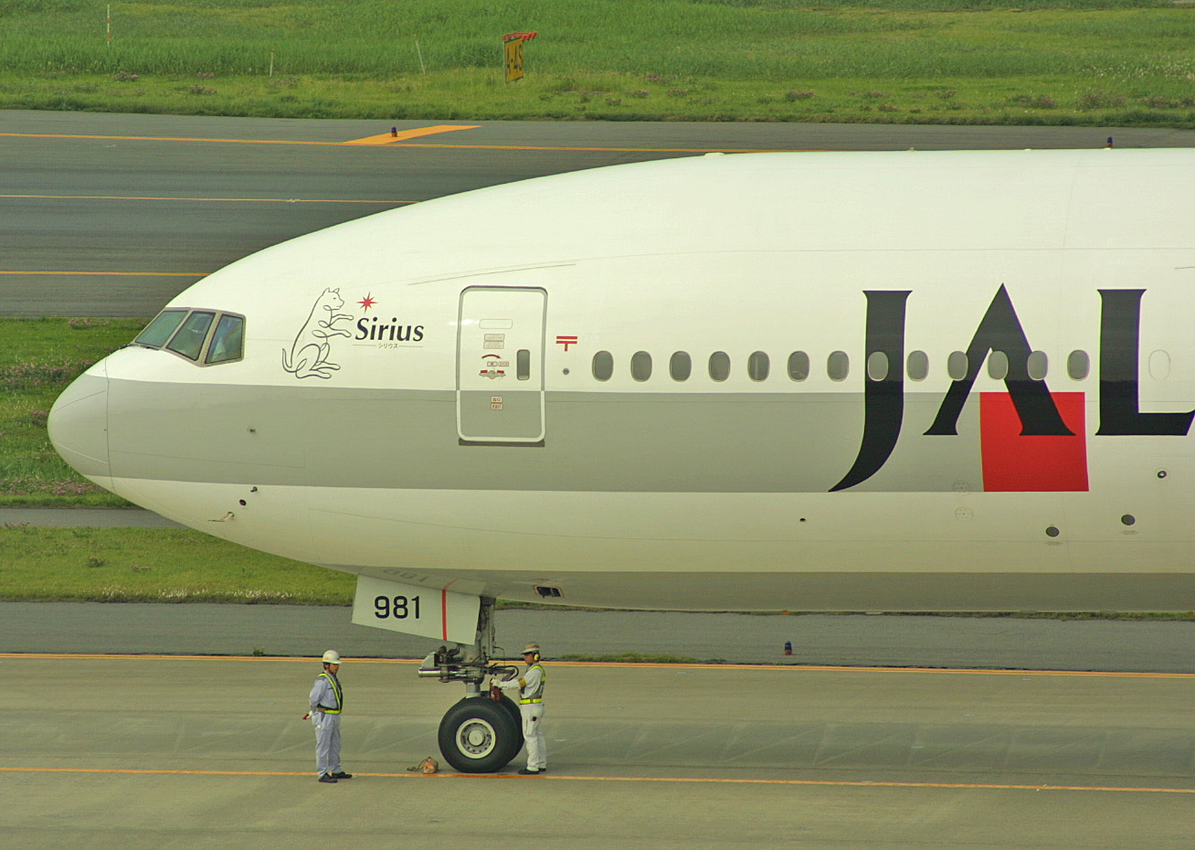 空鉄 on Twitter: "七夕なので、JAL STAR JET！ https://t.co/l7KLhzoiab" / Twitter