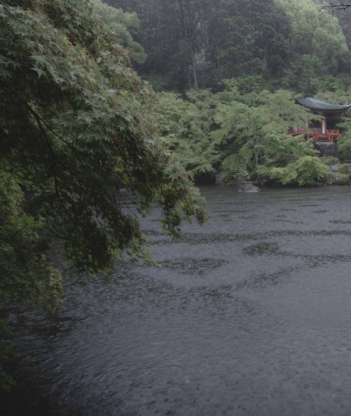 Ryota,F on Twitter: "雨の醍醐寺 https://t.co/l4BTdTpNmW" / Twitter