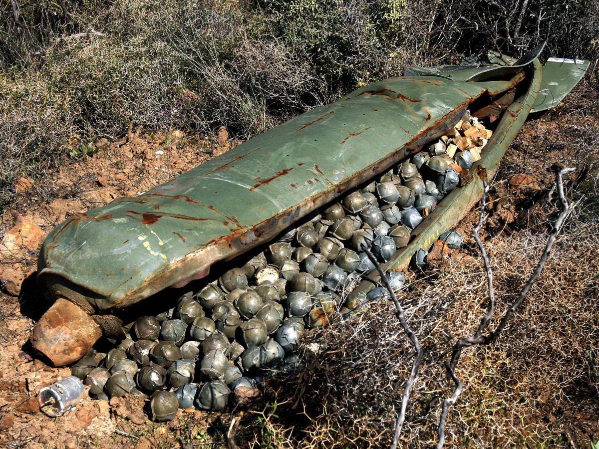 🐻ウラジミールZ🇷🇺さんの人気ツイート（新しい順） - ついふぁん！