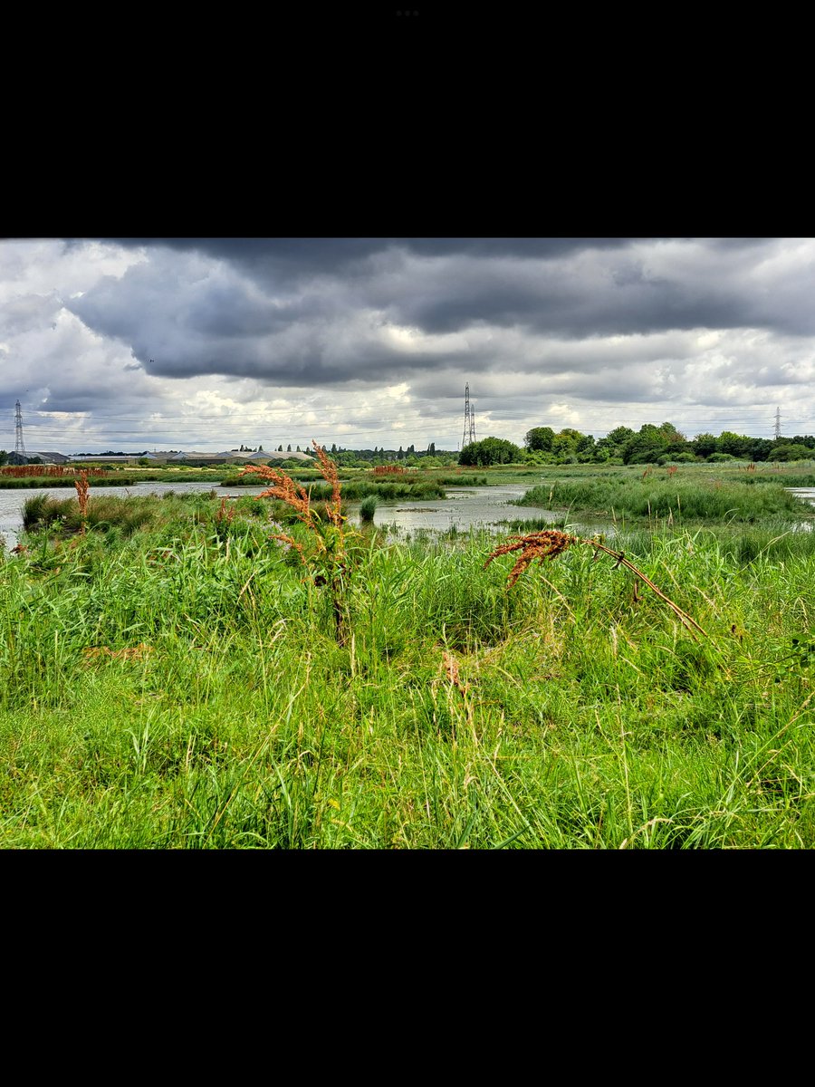 Welcome to Harris Academy Riverside