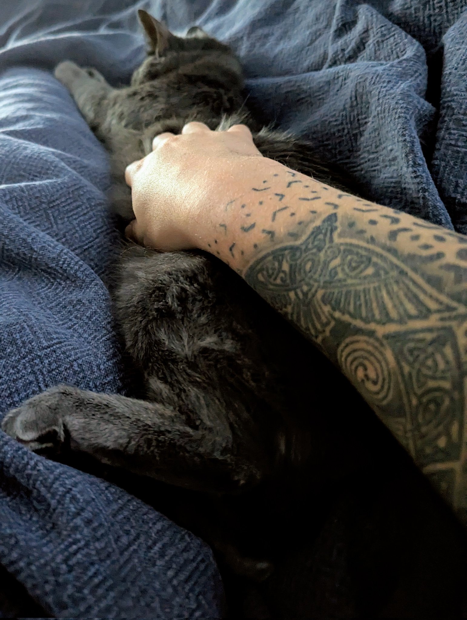 Cat Paw Tattoo Tumblr
