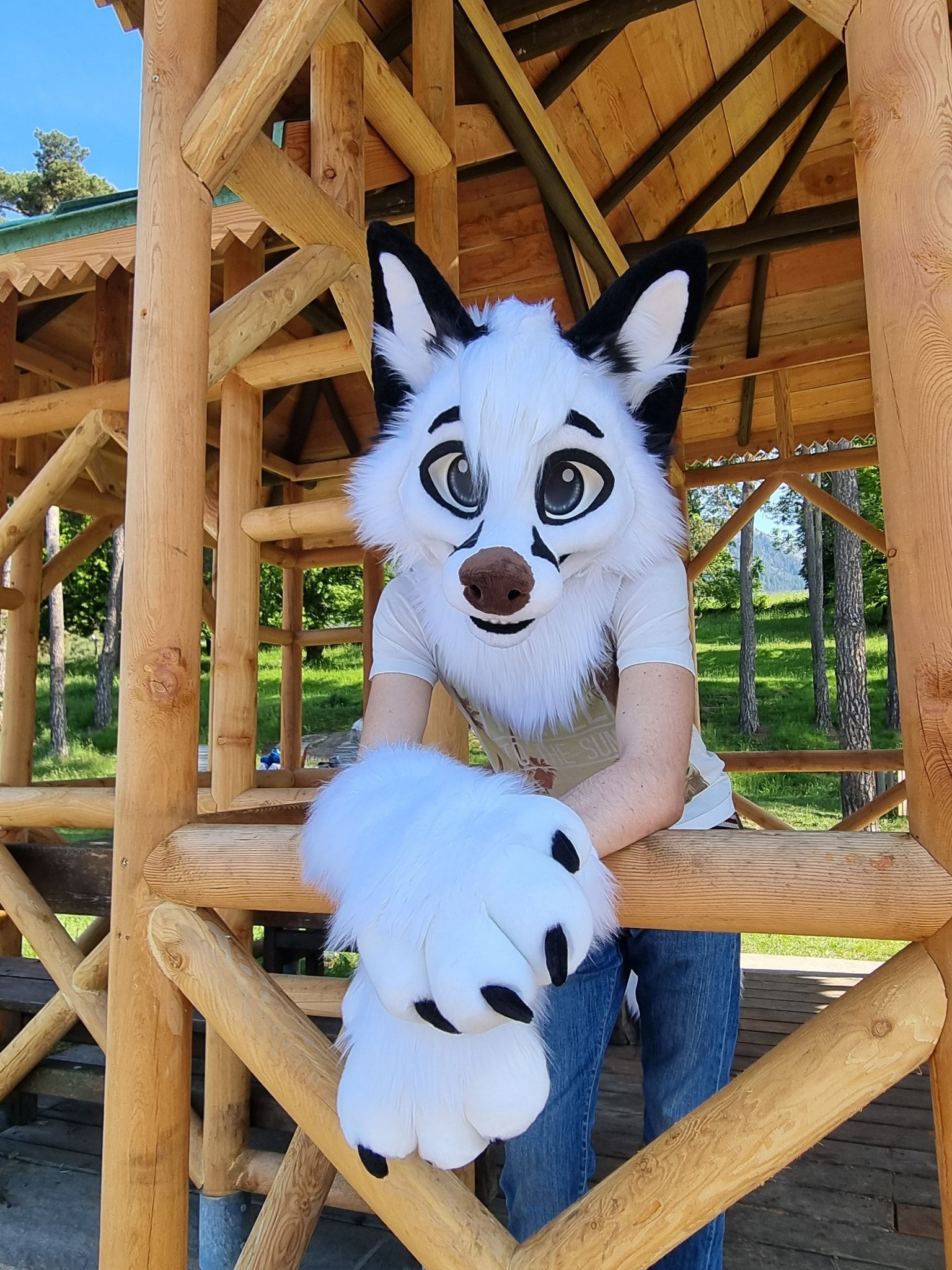 Wyle 🇮🇹 on Twitter: "This #FursuitFriday coincides with reaching 1K followers on Instagram 😯 I ...