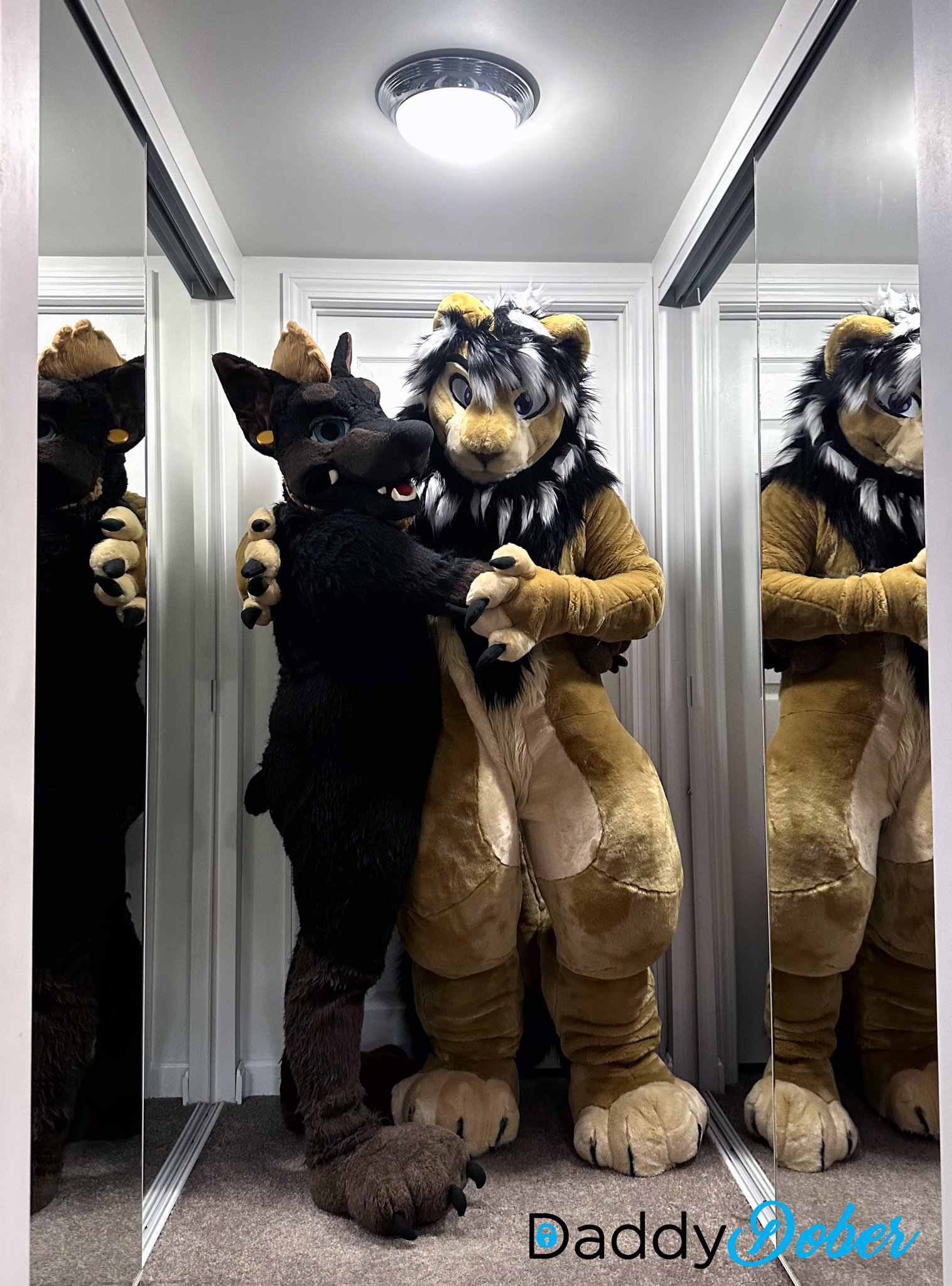Daddy Dober on Twitter: "Happy #FursuitFriday with @RikkuLion 🐶 ️🦁 ...