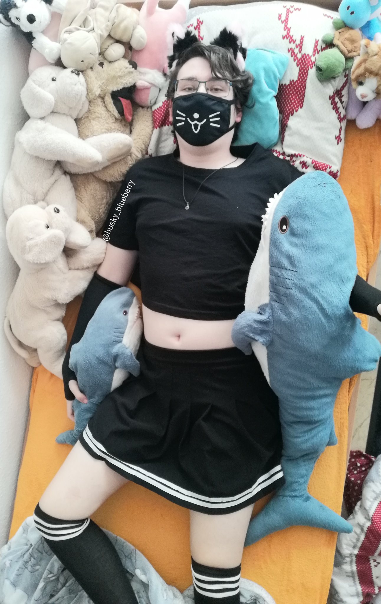blueberry_Husky on Twitter: "Happy #femboyfriday UwU Should I buy more plushies? Or does anyone ...