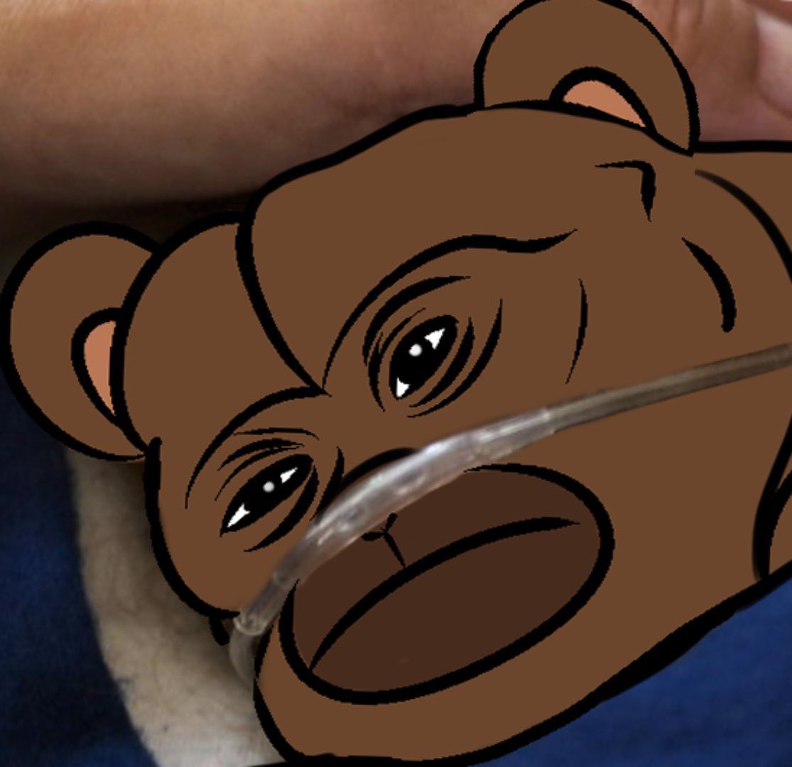 Pentoshi 🐧 euroPeng 🇪🇺 on Twitter: "Over and over and over $btc https://t.co/SHsTxK9tV6" / Twitter