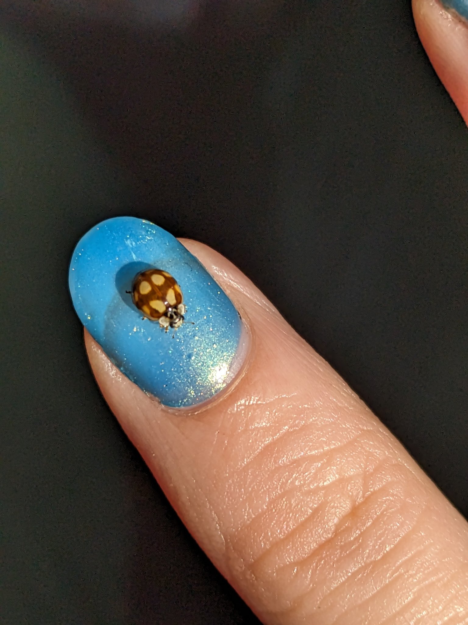 Coach Nail Designs