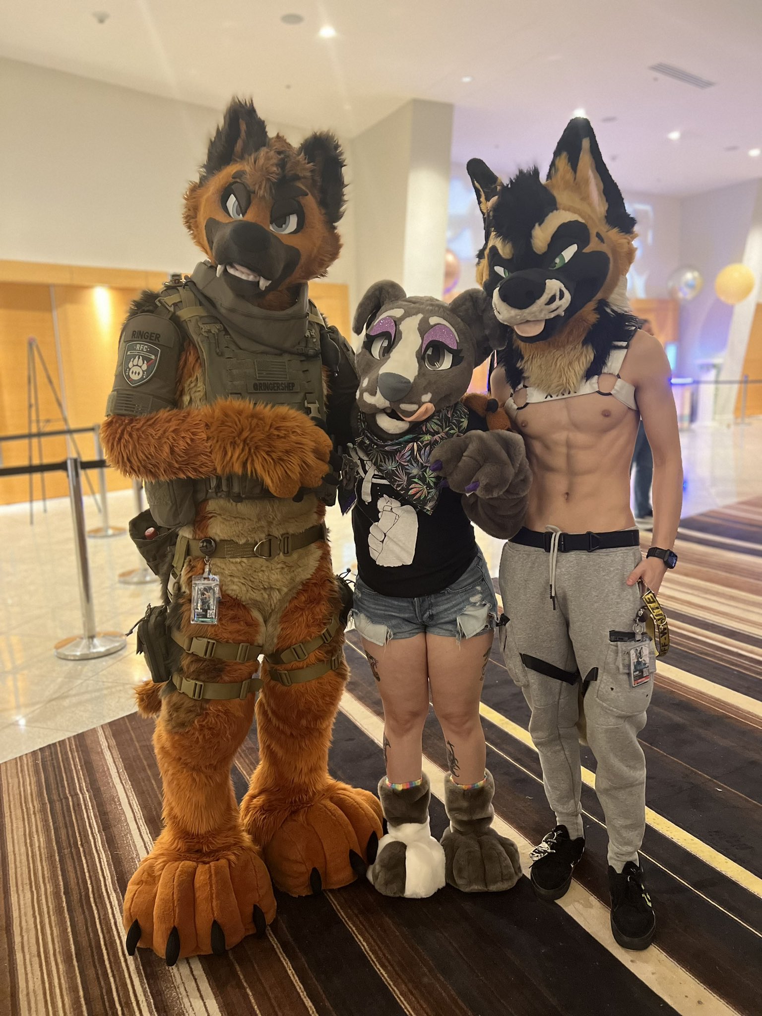 Mackie Pittie 🍃 on Twitter: "Surround yourself with cute sheps this # ...