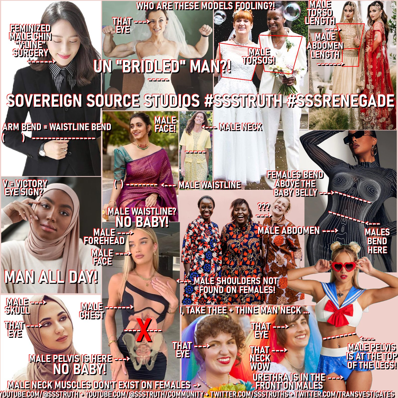 Sovereign Source Studios #SSSTruth #SSSRenegade on Twitter: "DECEPTION ENDER #3 of the #SSSTruth ...