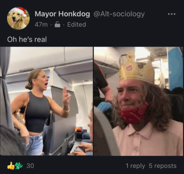 The Z Blog on Twitter: "Gab wins the internet today. https://t.co ...