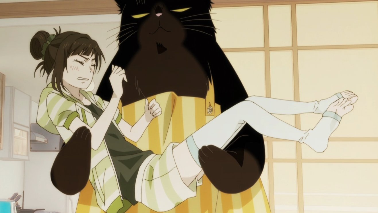 SerasKF on Twitter: "Dekineko #01 - She acts more like a cat than the cat itself, haha! Very ...