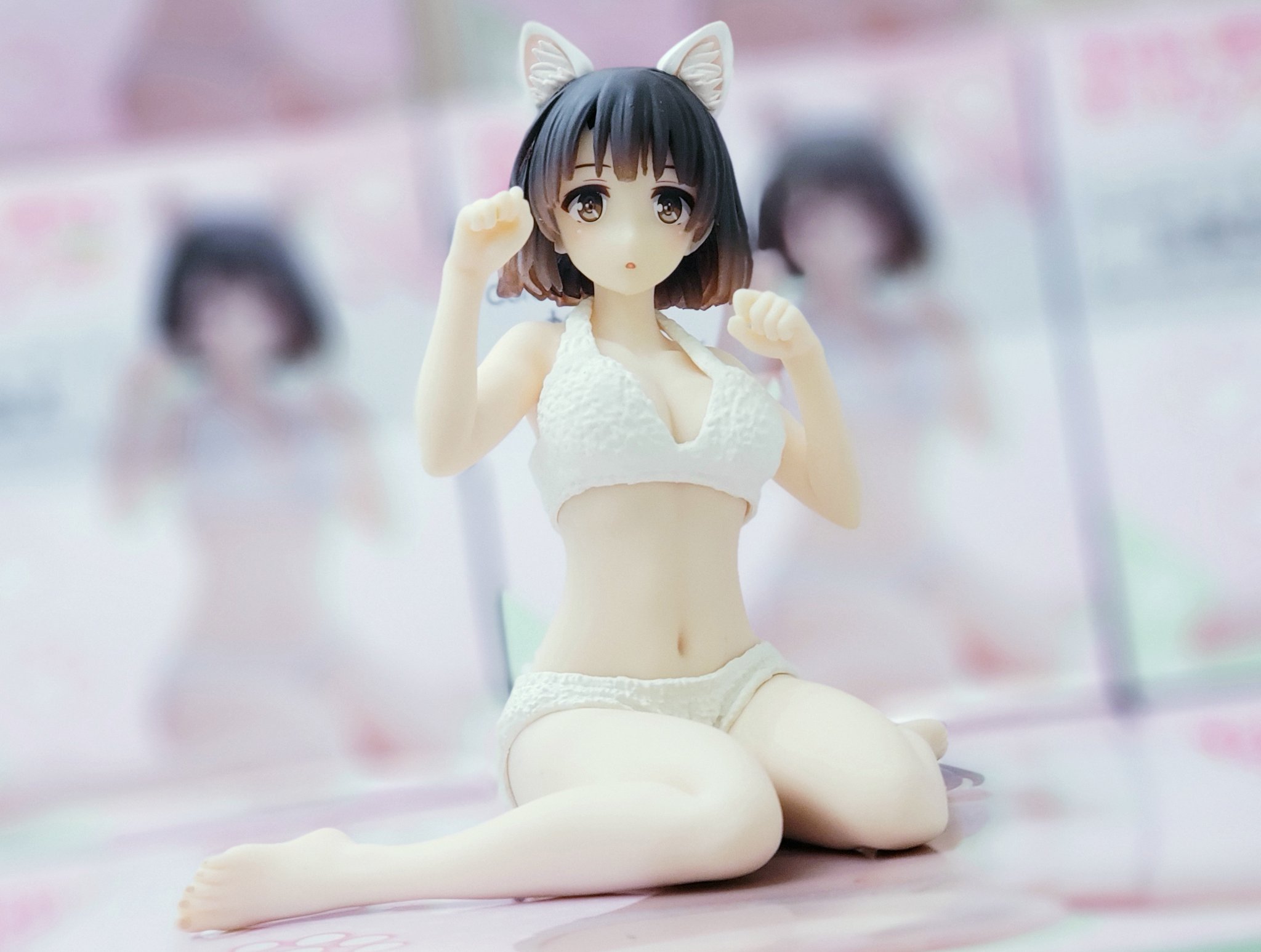 おたちゅう新潟寺尾店【年中無休10：00～20：00まで営業中♪】 on Twitter: "☆新景品入荷情報☆ 🐾冴えない彼女の育て方 Fine Coreful フィギュア 加藤恵～ Cat ...