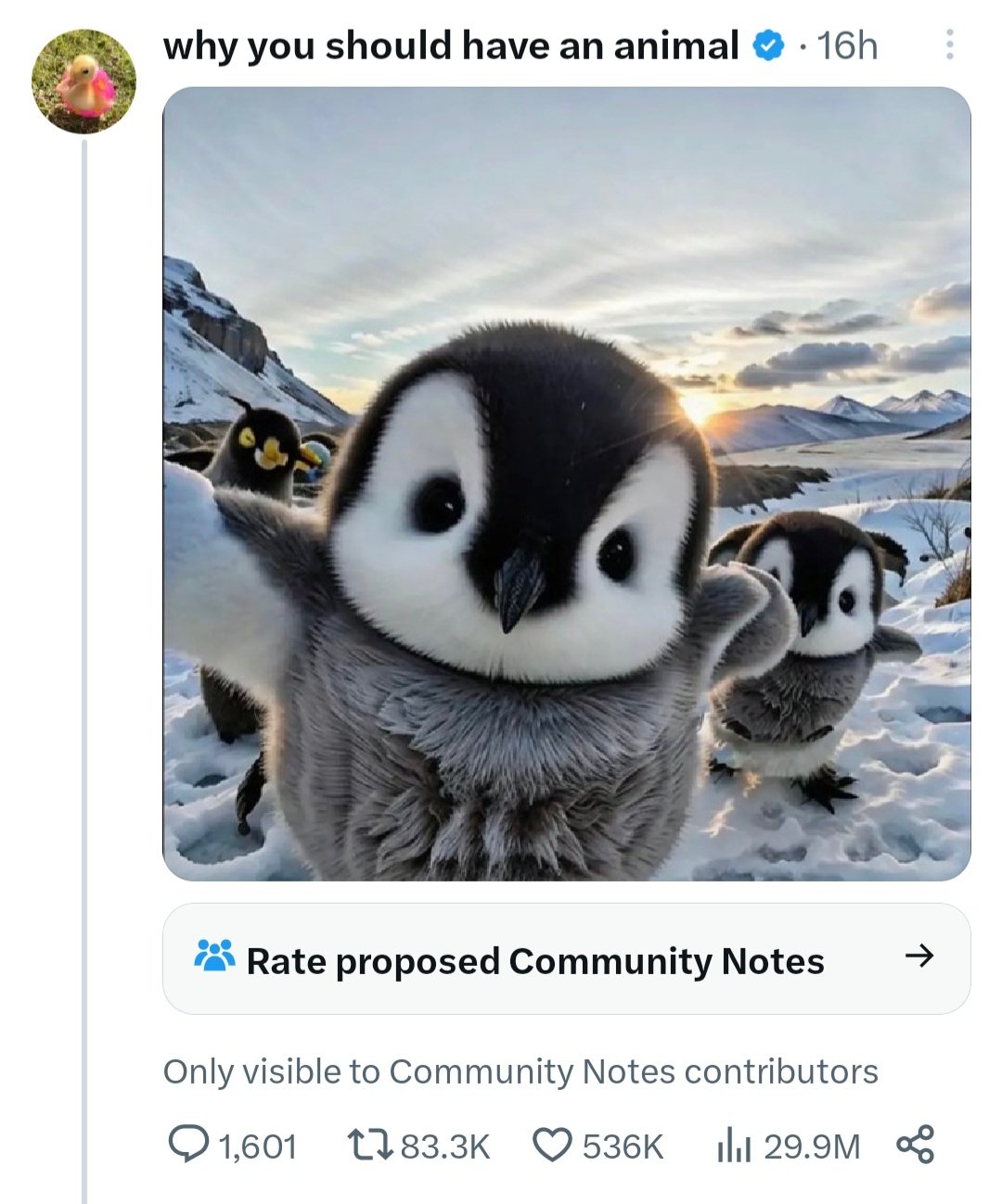 Penguin Baby Memes