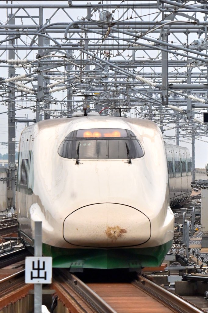 蒼生@青森の鉄道ファン on Twitter: "2023.7.8(土) 東京再会号 E2系J66編成(200系カラー) 撮影地:新青森駅 団体臨時列車として200系カラーのE2系が新青森駅初 ...