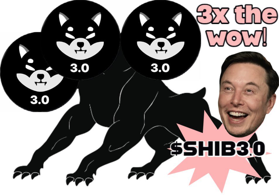 Shib3.0LFG on Twitter: "@memeking_888 What is better than 1 Shib? 2 Shib. What is better than 2 ...