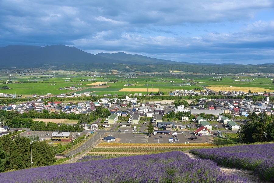 PREZO（プレゾ） on Twitter: "#中富良野町、”#なかふらの北星山ラベンダー園”に行ってきました リフトに乗り丘の上へ♪ 頂上には牧草ロールの展望台も設けられ山の斜面に広がる ...