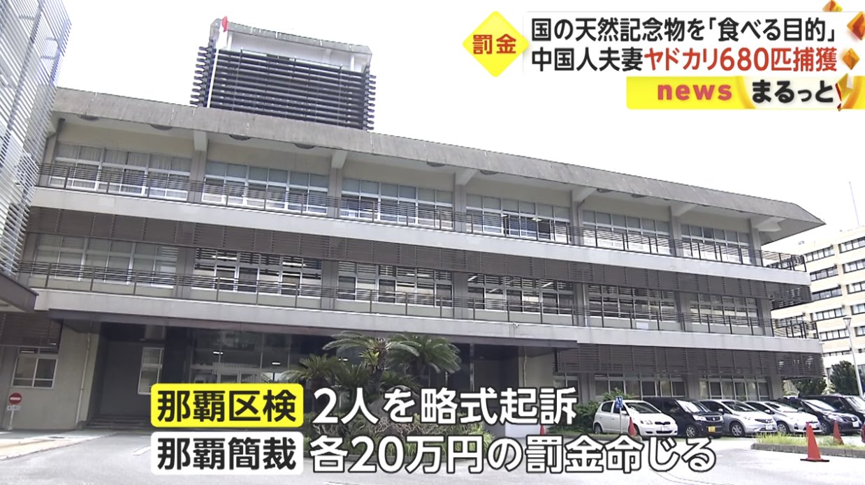 纵横日本 On Twitter 抓寄居蟹的中国夫妇被判各罚20万日元,他们的这场赶海,有点贵了 Sqctc3gz28 Twitter