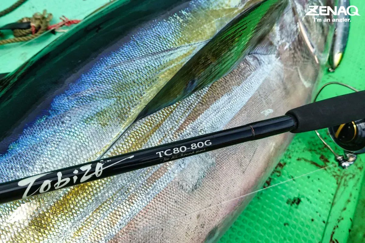ZENAQ on Twitter: "Tobizo An offshore casting rod of exceptional quality and distance Tobizo 驚愕の ...