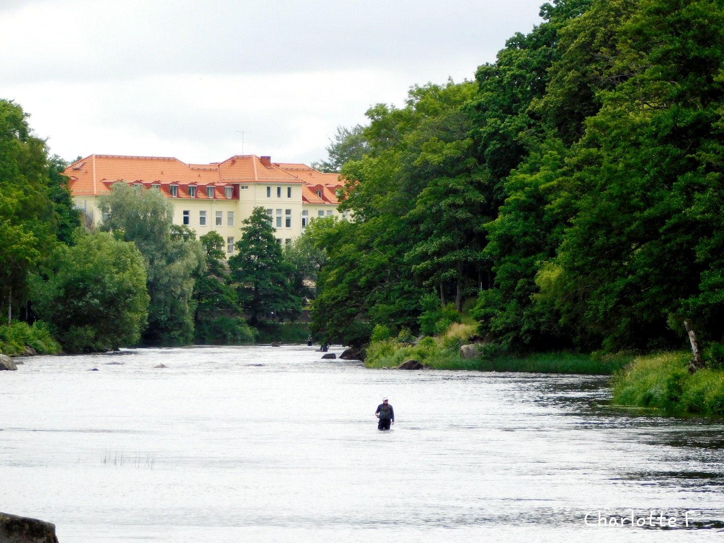Charlotte on Twitter: "Godmorgen 😊 https://t.co/OlepuSVuJf" / Twitter