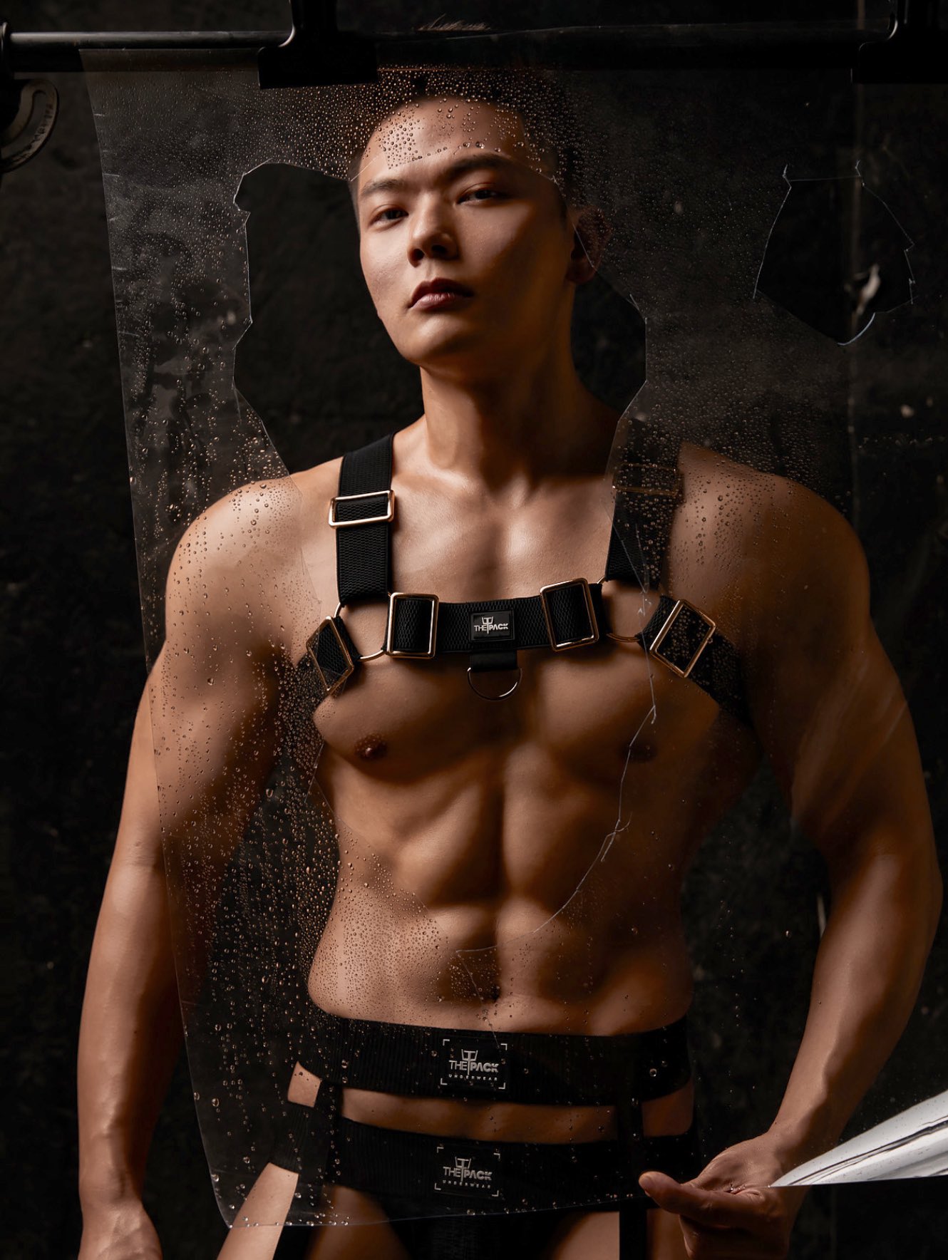 FOREST ALBUM 🏳️‍🌈🇺🇦 on Twitter: "- 男模 John John IG：chaned2036 ｜ 摄影师：谢梓秋@xieziqiu1027 - https://t ...