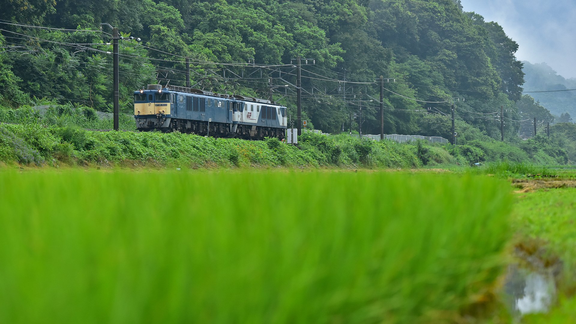 反町（たんまち） on Twitter: "2023.7.8 篠ノ井線 8087レ EF64 1033 + EF64 1017 2週間ぶりの運転となりました。 https://t.co ...