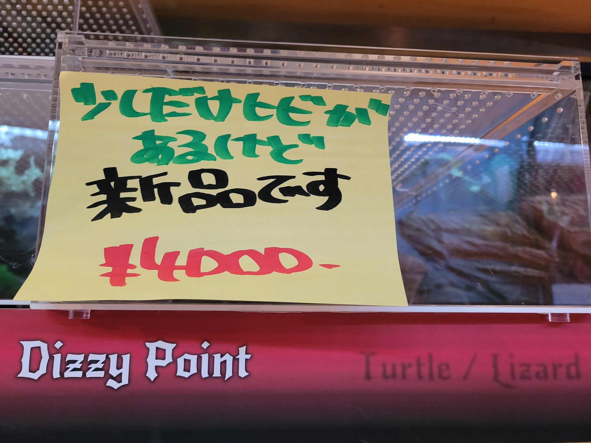 𝙳𝙸𝚉𝚉𝚈 𝙿𝙾𝙸𝙽𝚃【爬虫類専門店】Reptile on Twitter: "レプタイルボックス 【ワイド】 【新品】だけど少しヒビありの為 ￥4000 3つ限定です！ Dizzy ...