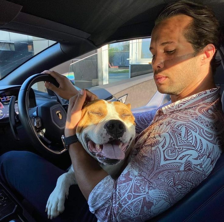 Morpheus on Twitter: "GM https://t.co/pZnbdLUvv0" / Twitter