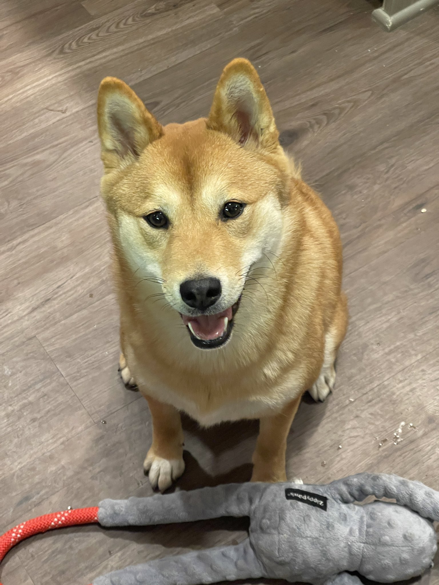 TL Mayumi on Twitter: "🥺 https://t.co/bbkUpaEpaT" / Twitter