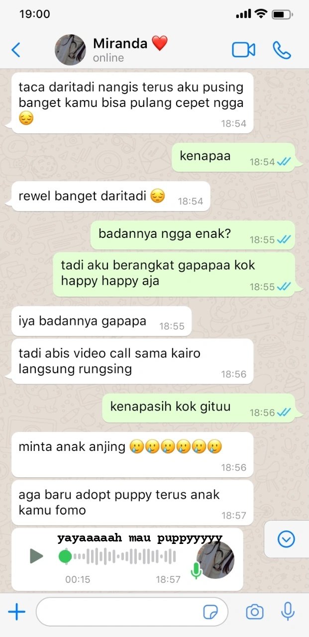 shen on Twitter: "https://t.co/twbTiVMwGf" / Twitter