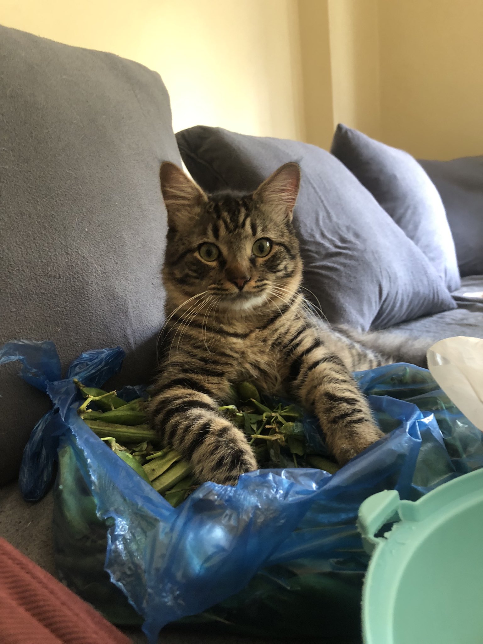 ecem on Twitter: "AYIKLATMAM https://t.co/D4pAnzJcWJ" / Twitter