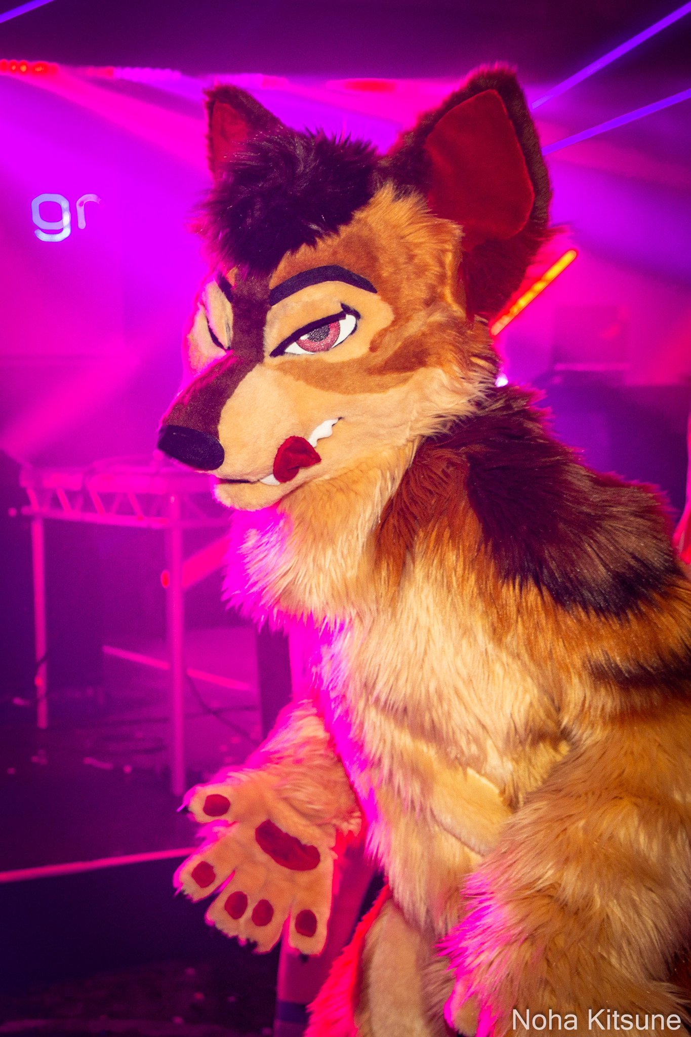 🖤Mutt🖤🔜LFM Boat party on Twitter: "Gr 📸 @Noha_Kitsune https://t.co/mf0UpQlOgl" / Twitter